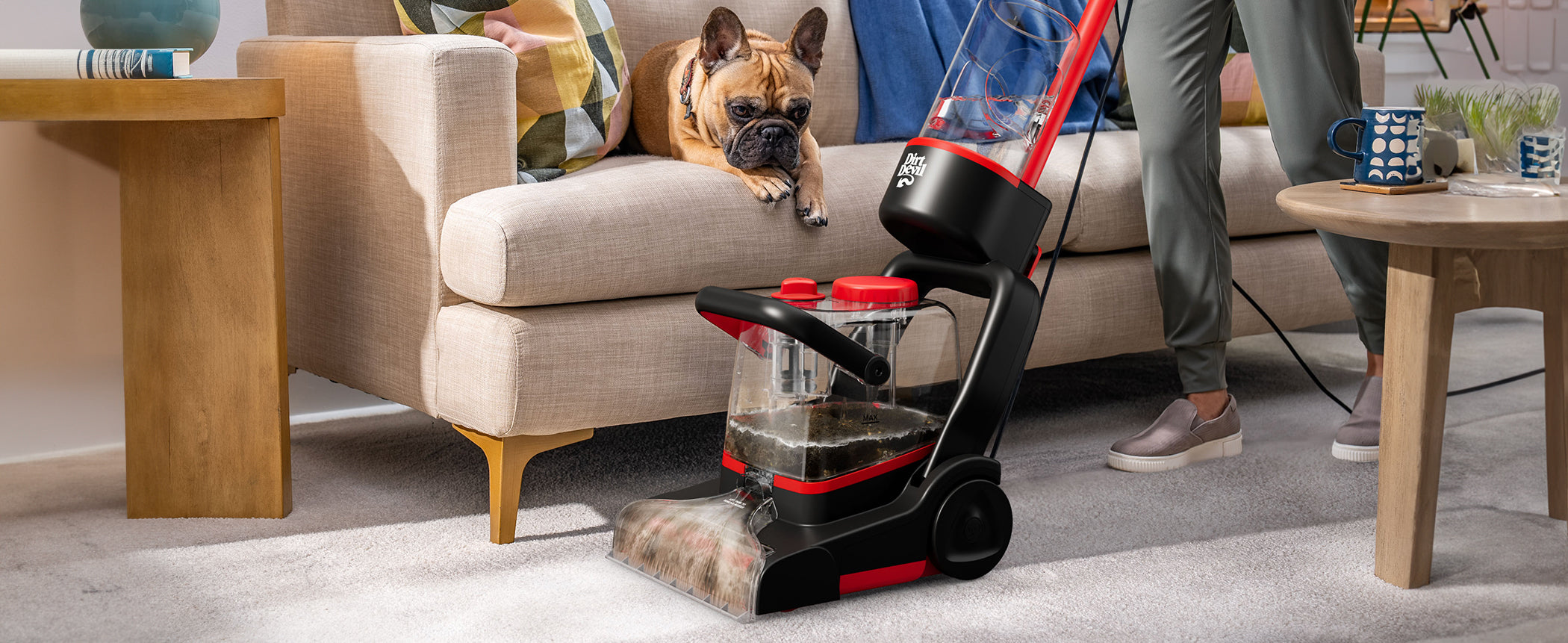 Pet Carpet Cleaner Solution – Dirtdevil